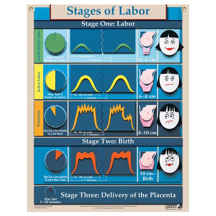 Stages Of Labor In Childbirth Chart | Childbirth Graphics